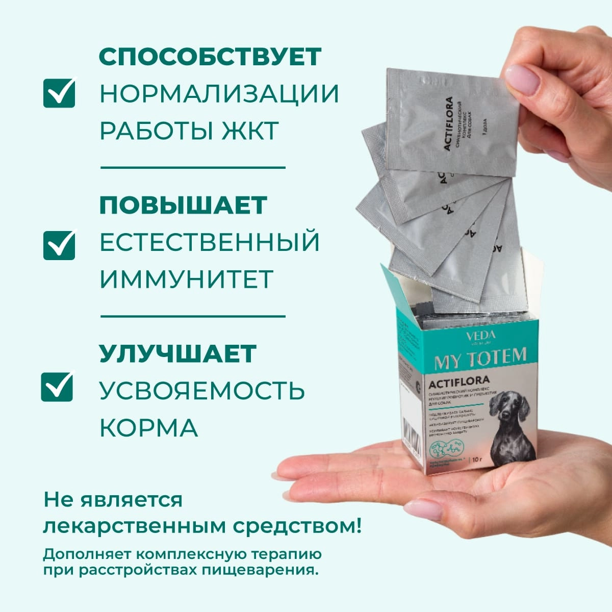 Комплекс пробиотиков и пребиотика для собак АКТИФЛОРА (ACTIFLORA)